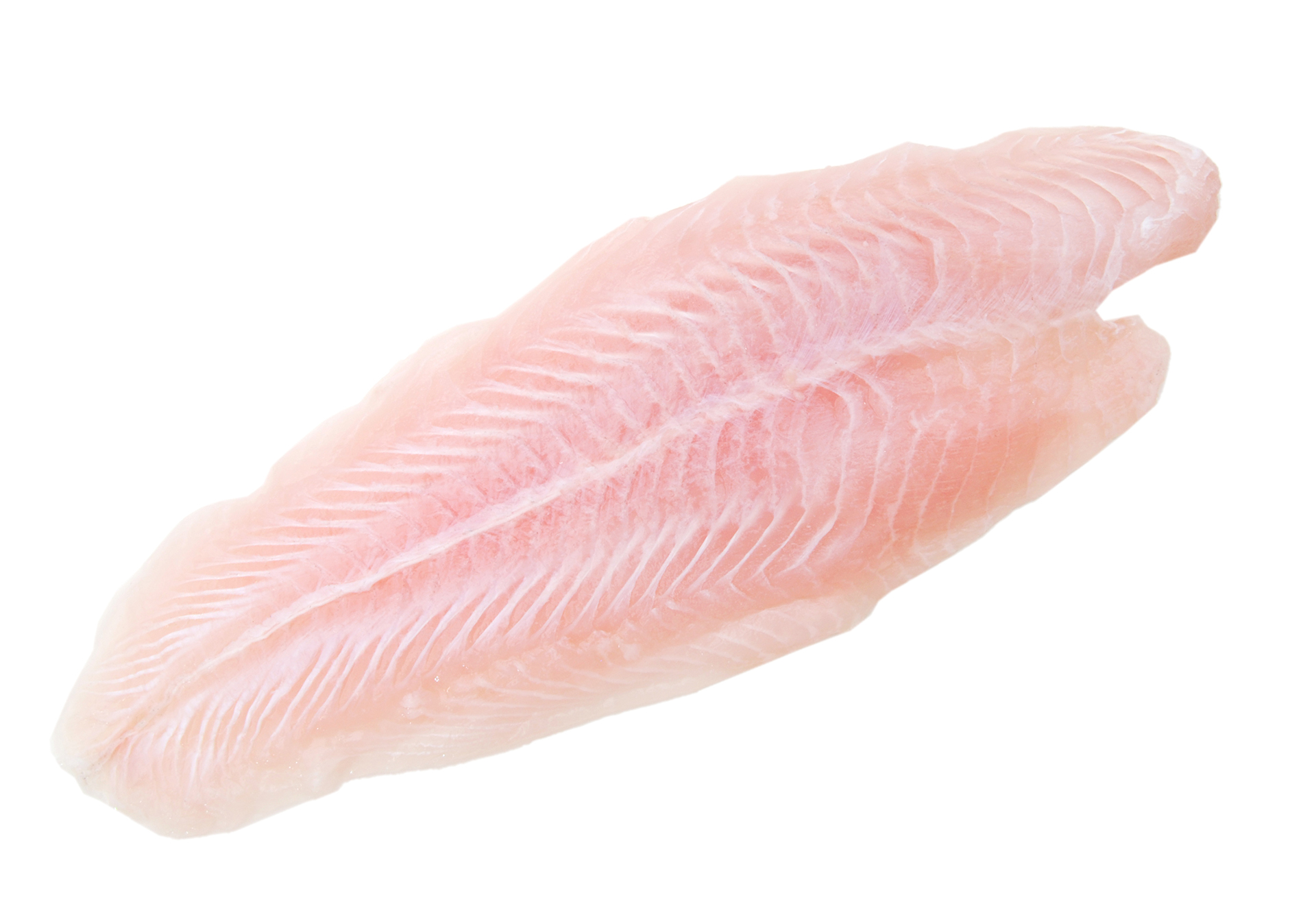 Filé de Pescada | BF Alimentos